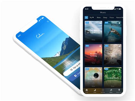 How Much Will It Cost To Make An App Like Calm For Meditation Techniques For Sleep And Stress