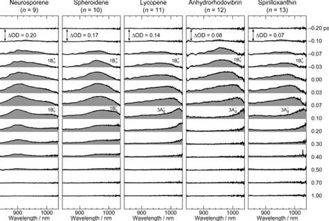Subpicosecond Time Resolved Spectra After Excitation With ∼100 Fs Download Scientific Diagram
