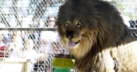 Moorpark College Zoo To Have Free Admission This Weekend