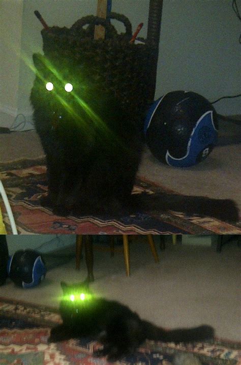 Assimilated