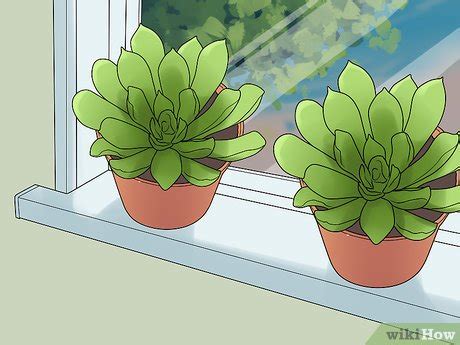 4 Ways To Decorate A Rectangular Room WikiHow