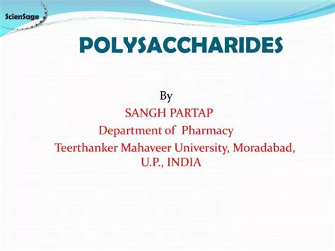 Ppt Polysaccharides Powerpoint Presentation Free Download Id2972795