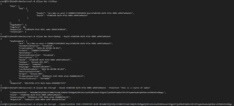 Key Management Service In Action A Hands On Guide For Data Encryption Alibaba Cloud Community
