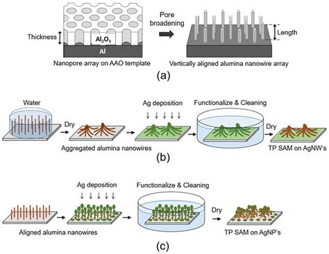 Nanomaterials Free Full Text Ultrahighly Sensitive Surface Enhanced Raman Spectroscopy Film