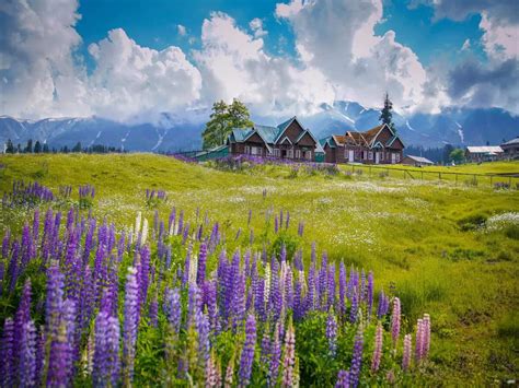 Kashmir In Summers 15 Beautiful Photos Times Of India Travel