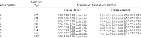 Sequences Around The Exon Intron Junctions Download Table