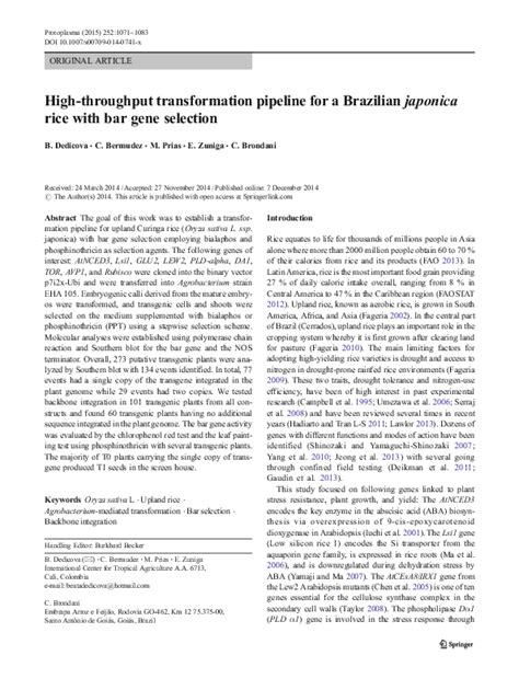 Pdf High Throughput Transformation Pipeline For A Brazilian Japonica Rice With Bar Gene Selection