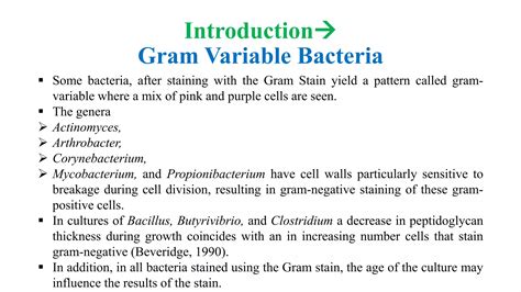 Gram Staining Pptx