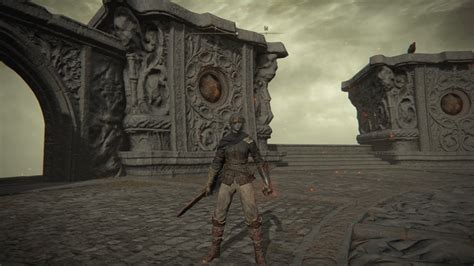 Soldier Of Eochaid R Fashionsouls