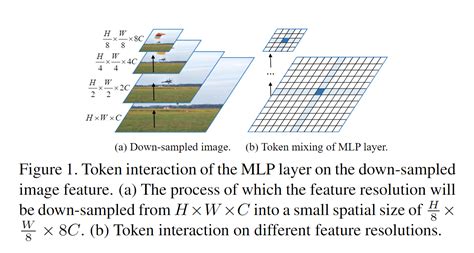 Strip Mlp Efficient Token Interaction For Vision Mlp 知乎 Strip Mlp Efficient Token Interaction For Vision Mlp 知乎