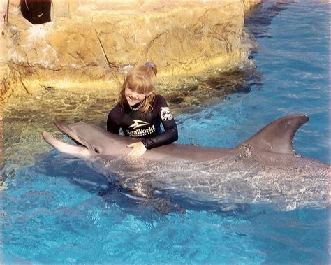 Swim With Dolphins Cancun Attractions Cancun Riviera Maya Amazing