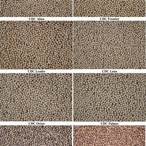 Experimental Set Up For Chickpea Varietal Classification Download