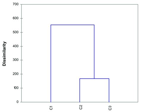Dendrogram Provided By The Agglomerative Hierarchical Cluster Analysis