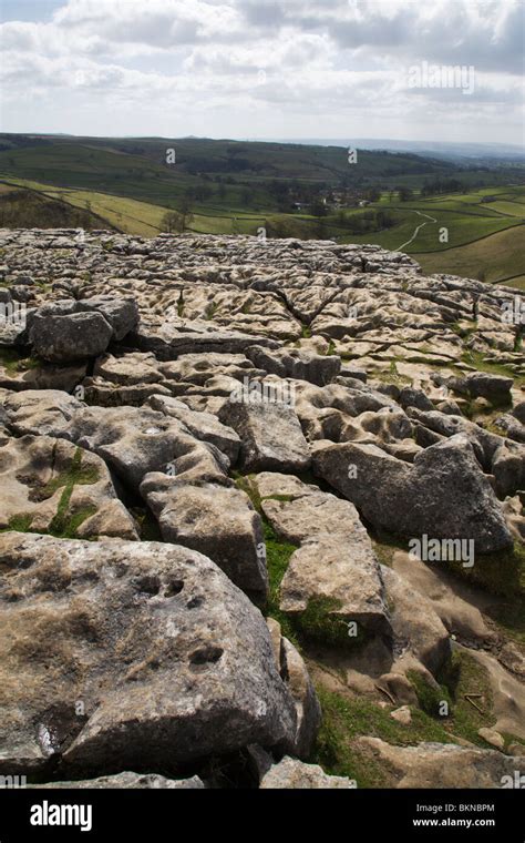 The Limestone Pavement At Malham Cove Yorkshire Dales England Uk