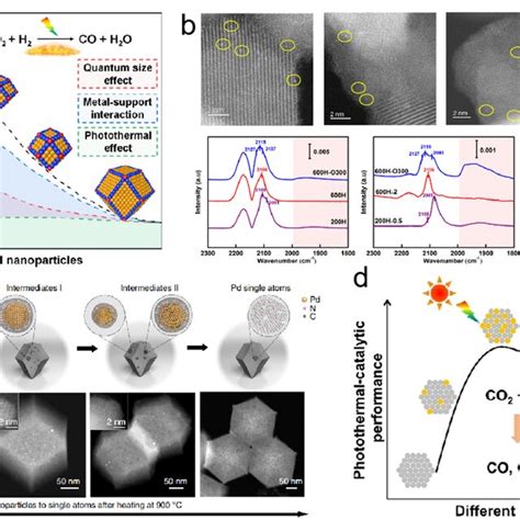 A Monodispersed Pd Nanoparticles With A Narrow Size Distribution Download Scientific Diagram