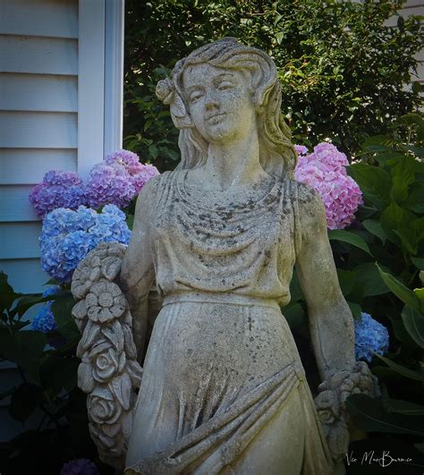 Searching For Simplicity In The Garden — Ferns And Feathers