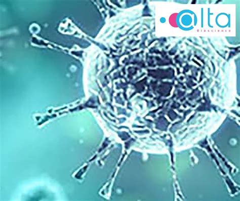 Custom Polyclonal Antibody Generation Altabioscience