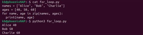 Python For Loop Syntax Usage Examples