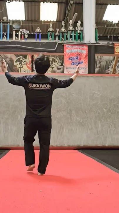 태권도 회전발차기 릴레이🇰🇷🥋 Youtube