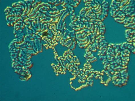 Optical Coating Degradation Problems Anderson Materials Evaluation Incanderson Materials