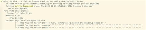 How To Setup Nginx Reverse Proxy For Nodejs Applications