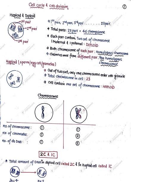 Solution Cell Cycle And Cell Division Handwritten Notes For Class 11
