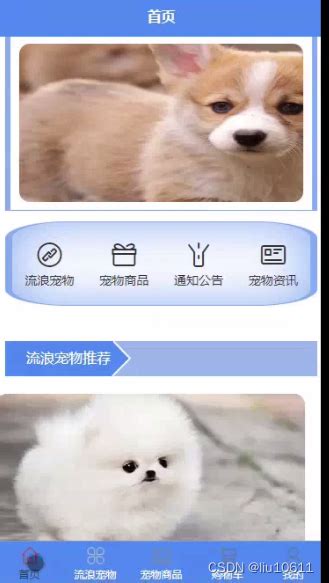 基于微信小程序的宠物助养平台的设计与实现 源码 开题 csdn博客