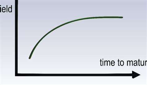 Yield Curve Explainer What It Is And What They Mean About The Economy