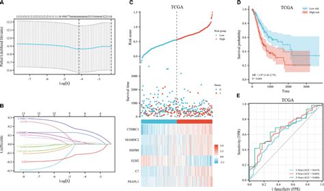 construction of gc prognostic signature in the tcga dataset a the