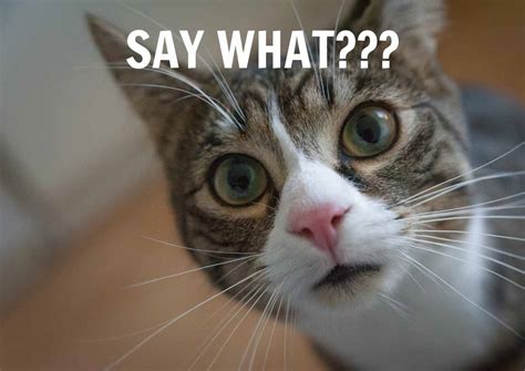 Free Powerpoint Templates Slidescarnival