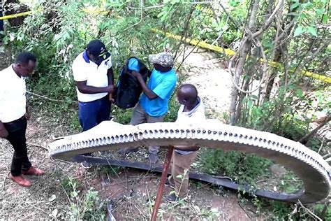 A Half Ton Piece Of Space Junk Falls Onto A Village In Kenya The New