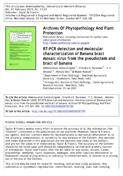 Pdf Rt Pcr Detection And Molecular Characterization Of Banana Bract Mosaic Virus From The
