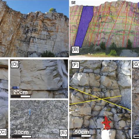 Pdf Calibrating Discrete Fracture Network Models With A Carbonate