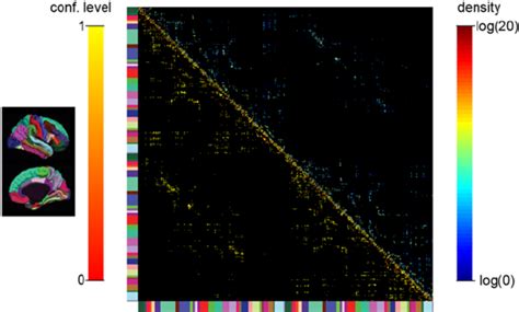 high resolution structural connection matrix high resolution