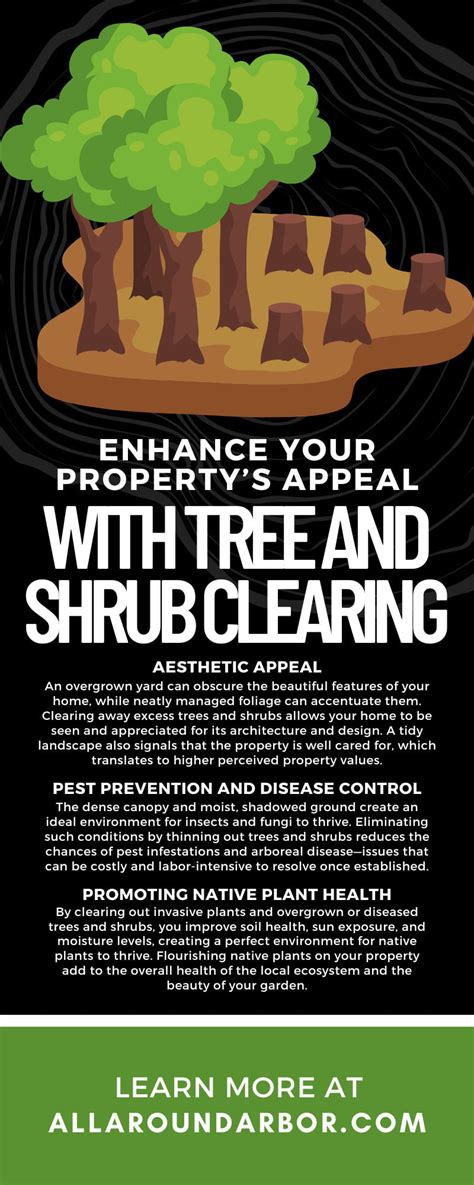Enhance Your Propertys Appeal With Tree And Shrub Clearing