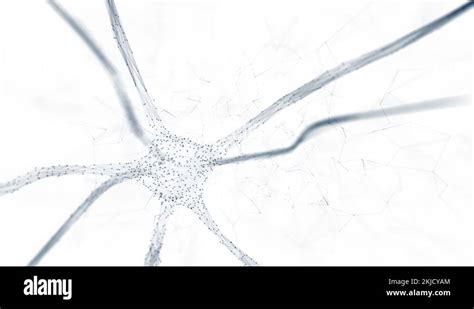 Neuron Cell Isolated On White Background Stock Video Footage Alamy