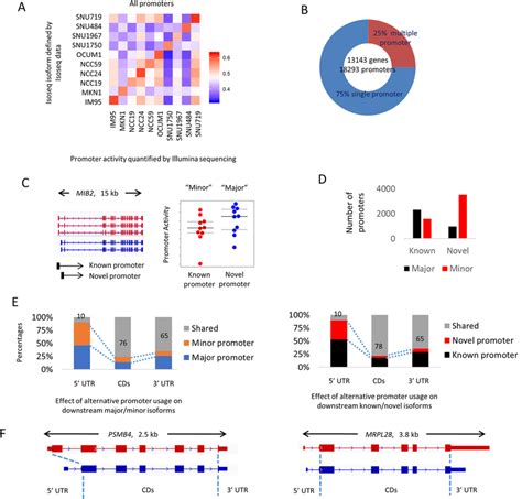 Landscape Of Alternative Promoter Usage In The Iso Seq Data A