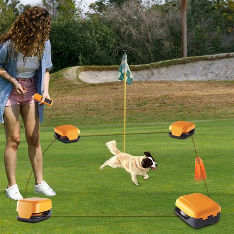 Poprhino Remote Control Pet Chase Toy For Outdoor Exercise And Training Suitable For Dogs