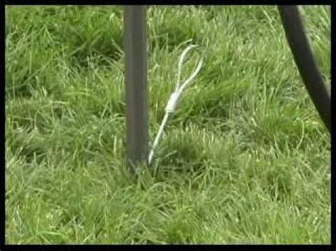 How To Setup A Slackline Without Trees Cold Frame Lake Living Farm Tools