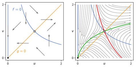 Illustration Of A Phase Portrait Left Nullclines Of The Reaction Download Scientific Diagram