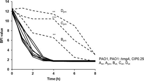 Pyomelanin Producing Pseudomonas Aeruginosa Selected During Chronic Infections Have A Large