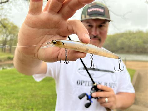 Year-Round with the ima Flit - ima lures