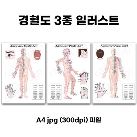 의학그림 메디컬 일러스트 Callidesign On Instagram 인체 전 후 측 면의 경혈들을 그린 경혈도 3종 일러스트포스터입니다 프로필 주소 크티샵에서 구입할