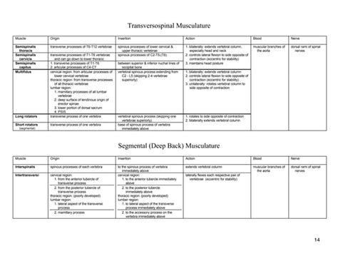 Muscle Attachment Table Compartment Wise Ppt