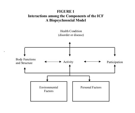 The International Classification Of Functioning Disability And Health