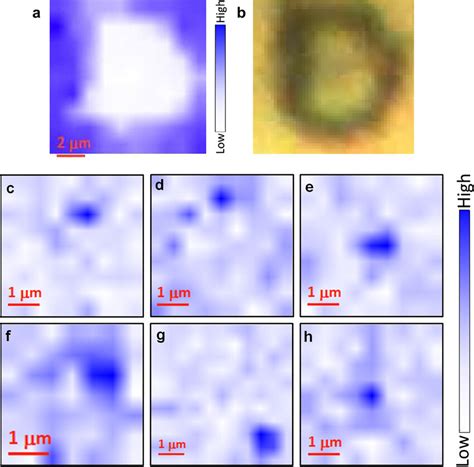 2d Diffraction Contrast Imaging Of Mgo And H2 Submicron Download