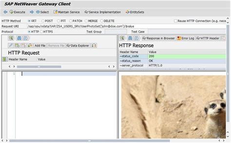 Uploading Files To Sap Gw Downloading Files From Sap Community