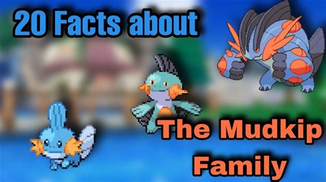Mudkip Evolution Line Emerald