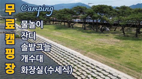무료노지 솔 숲 캠핑장수세식 화장실개수대그늘 가득물놀이애견동반새 텐트캠핑음식 비빔면과 바베큐 폭립하이볼camping In The Pine Forest