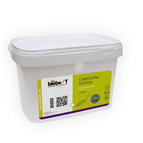 Chrysopa Rufilabris Distribuciones Imex Sa De Cv